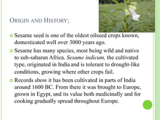 Production Technology of Sesame | PPTX