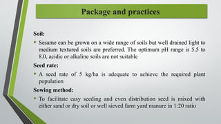 Sesame seed production (introduction).pptx