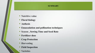 Sesame seed production (introduction).pptx