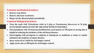 Sesame diseases and their management | PPTX
