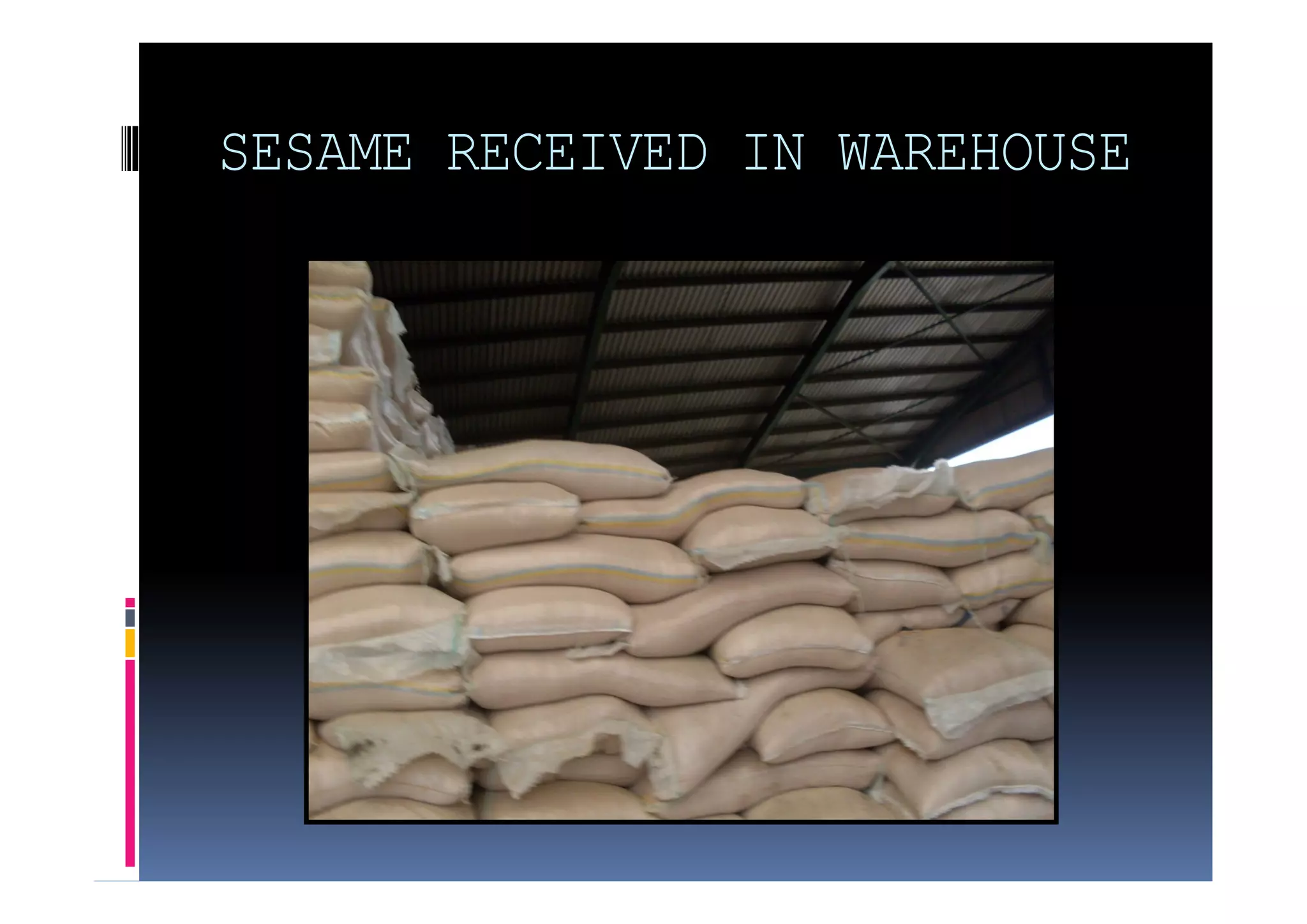 Sesame seed oil production process..ppt [compatibility m | PDF