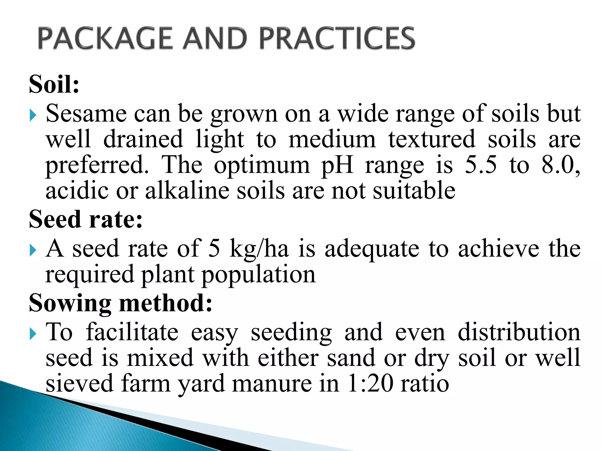 Sesame seed production by rishi | PPTX