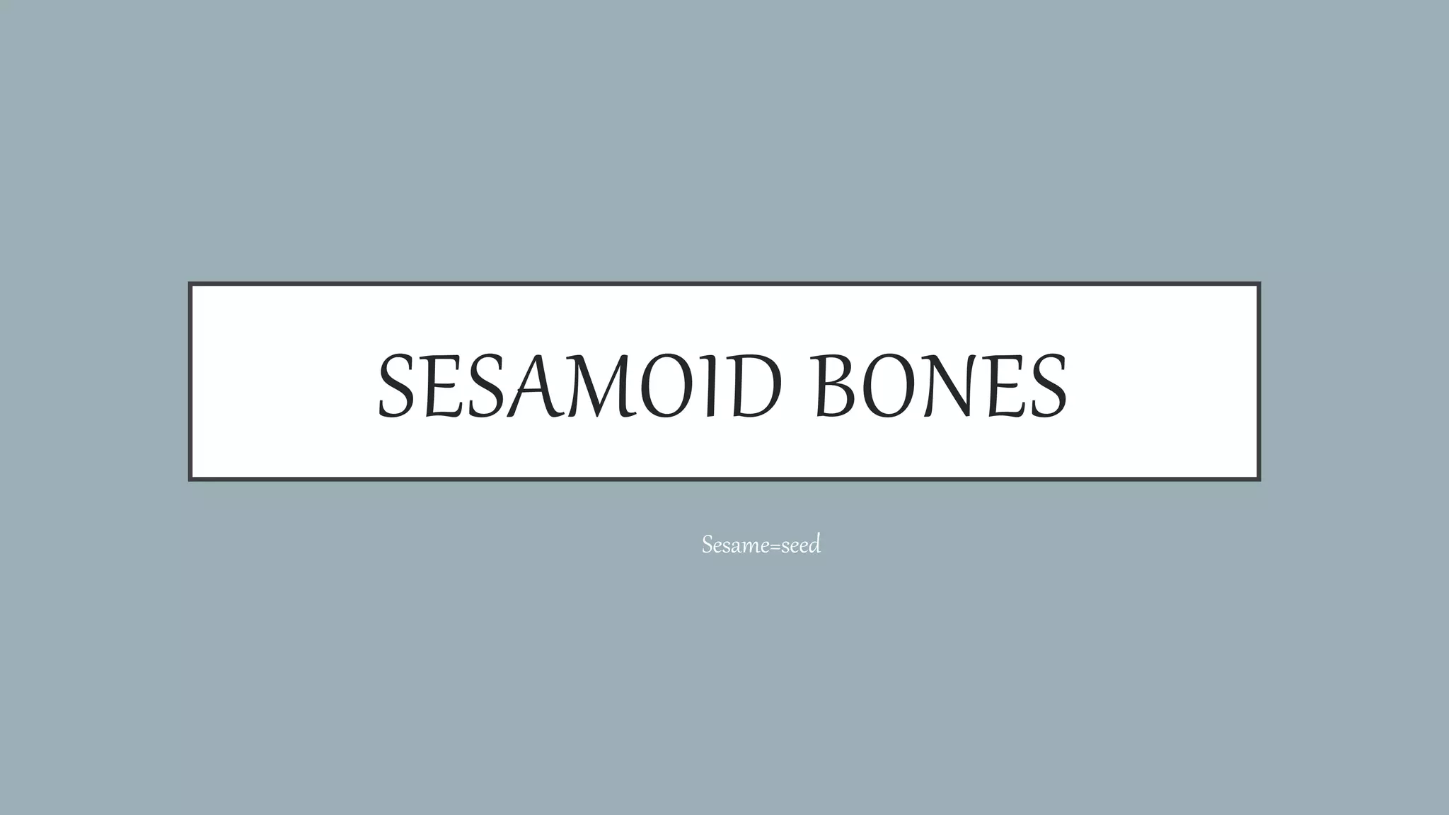 Sesamoid bones | PPTX