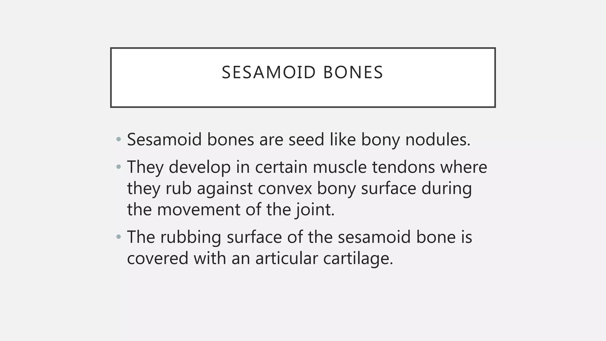 Sesamoid bones | PPTX