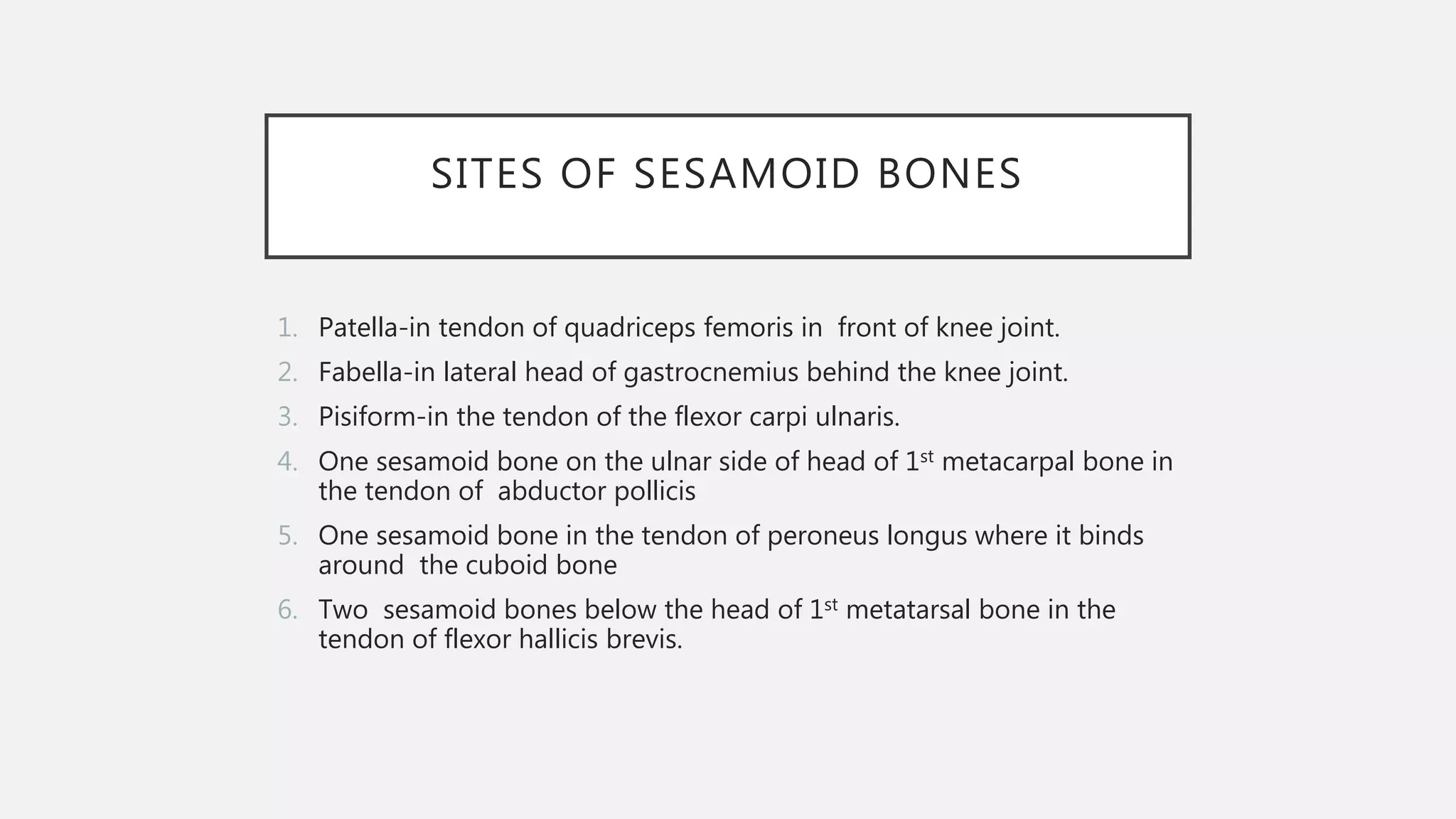 Sesamoid bones | PPTX