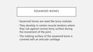 Sesamoid bones | PPTX