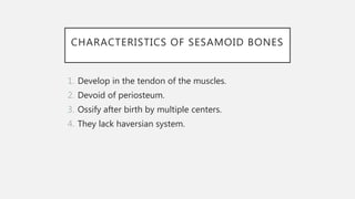 Sesamoid bones | PPTX