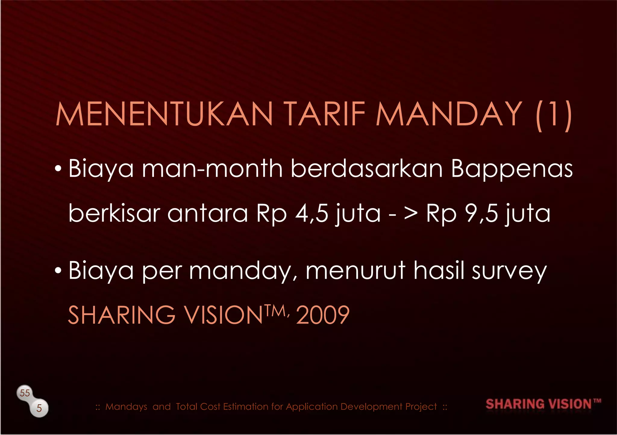 Mandays Dan Total Cost Estimation For Application Development Project | PDF
