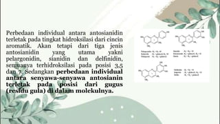 SESI 10-11 FLAVONOID.pptx