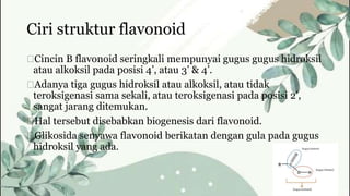 SESI 10-11 FLAVONOID.pptx