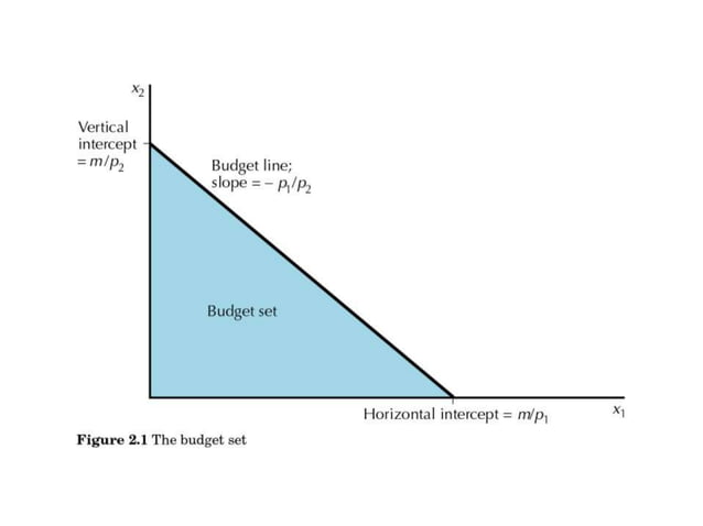 Budget Constraint.ppt