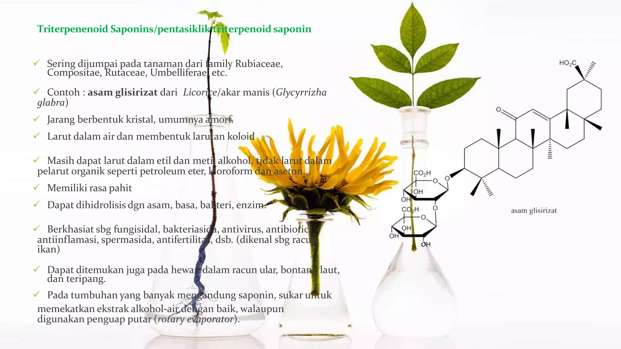 SESI 8-9 GLIKOSIDA.pptx