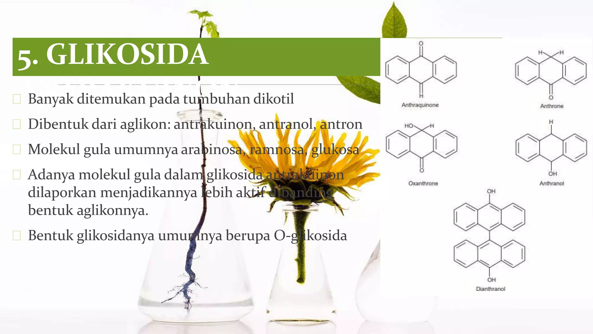 SESI 8-9 GLIKOSIDA.pptx