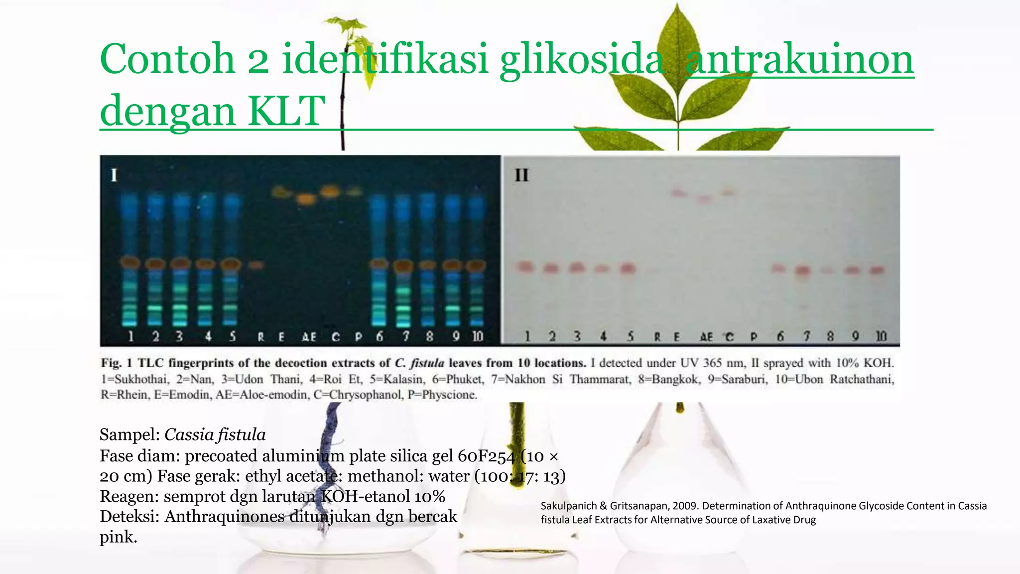 SESI 8-9 GLIKOSIDA.pptx