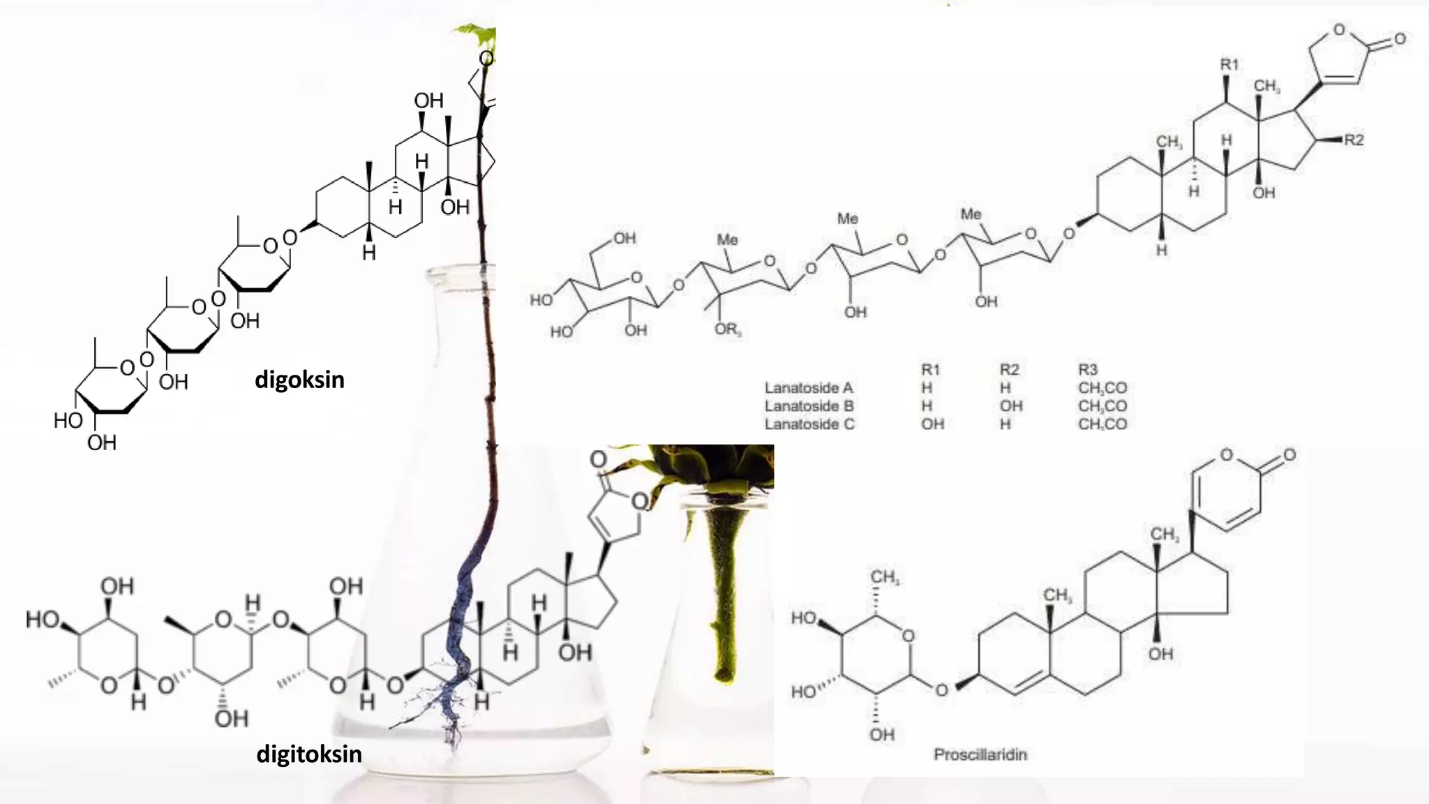 SESI 8-9 GLIKOSIDA.pptx