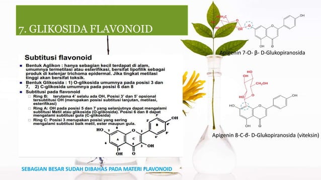 SESI 8-9 GLIKOSIDA.pptx