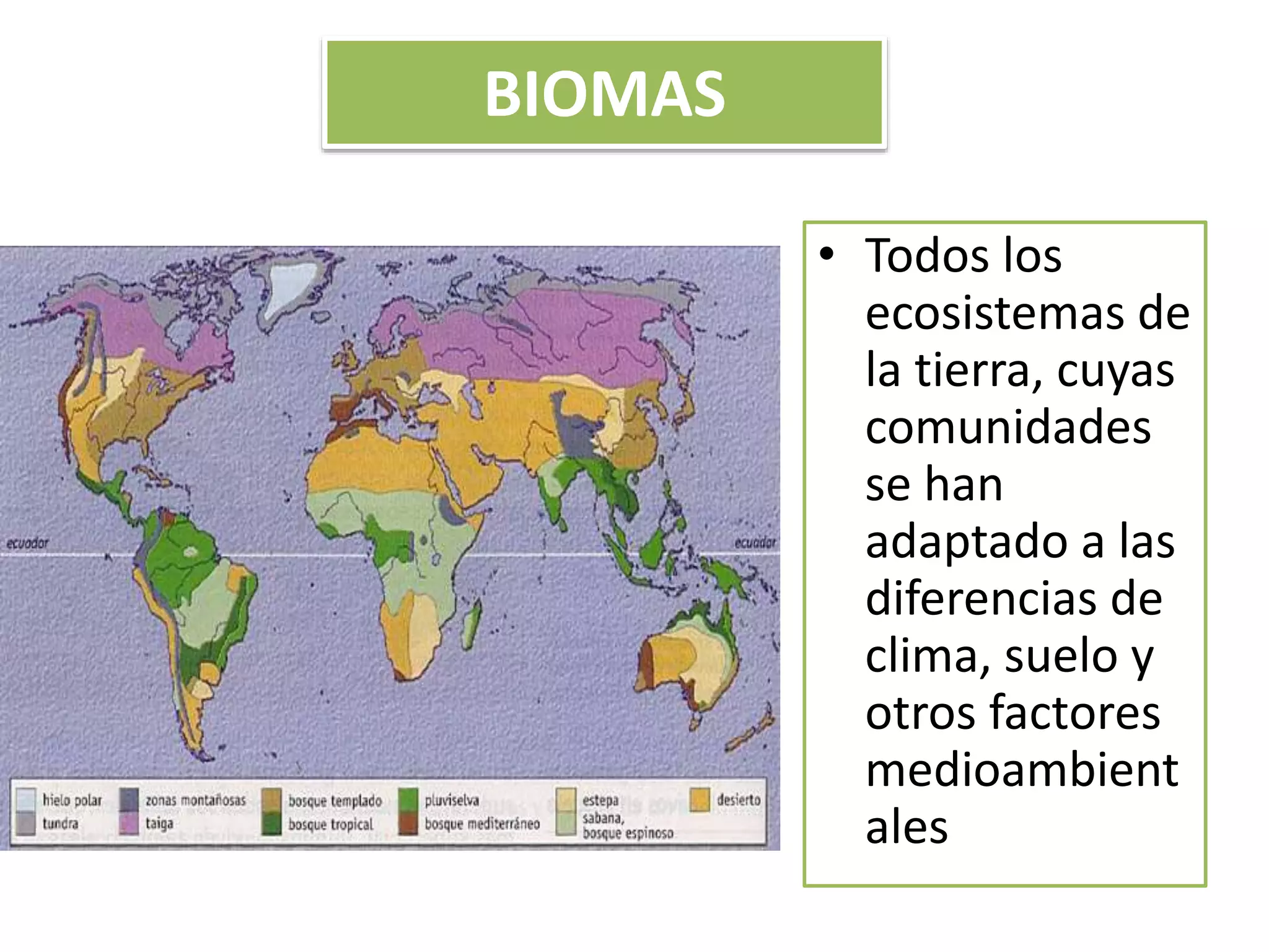 Sesión. biomas y ecosistemas de ecuador | PPTX