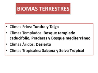 Sesión. biomas y ecosistemas de ecuador | PPTX