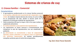 sesión 01. introducción a la crianza de cuyes.pdf