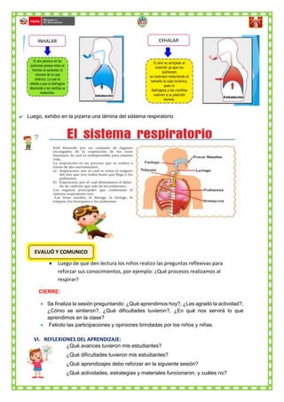Clave De Respuestas De La Hoja De Trabajo Del Sistema Respiratorio