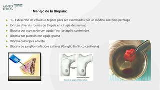Sesión 14_ Manejo de la biopsia.pptx