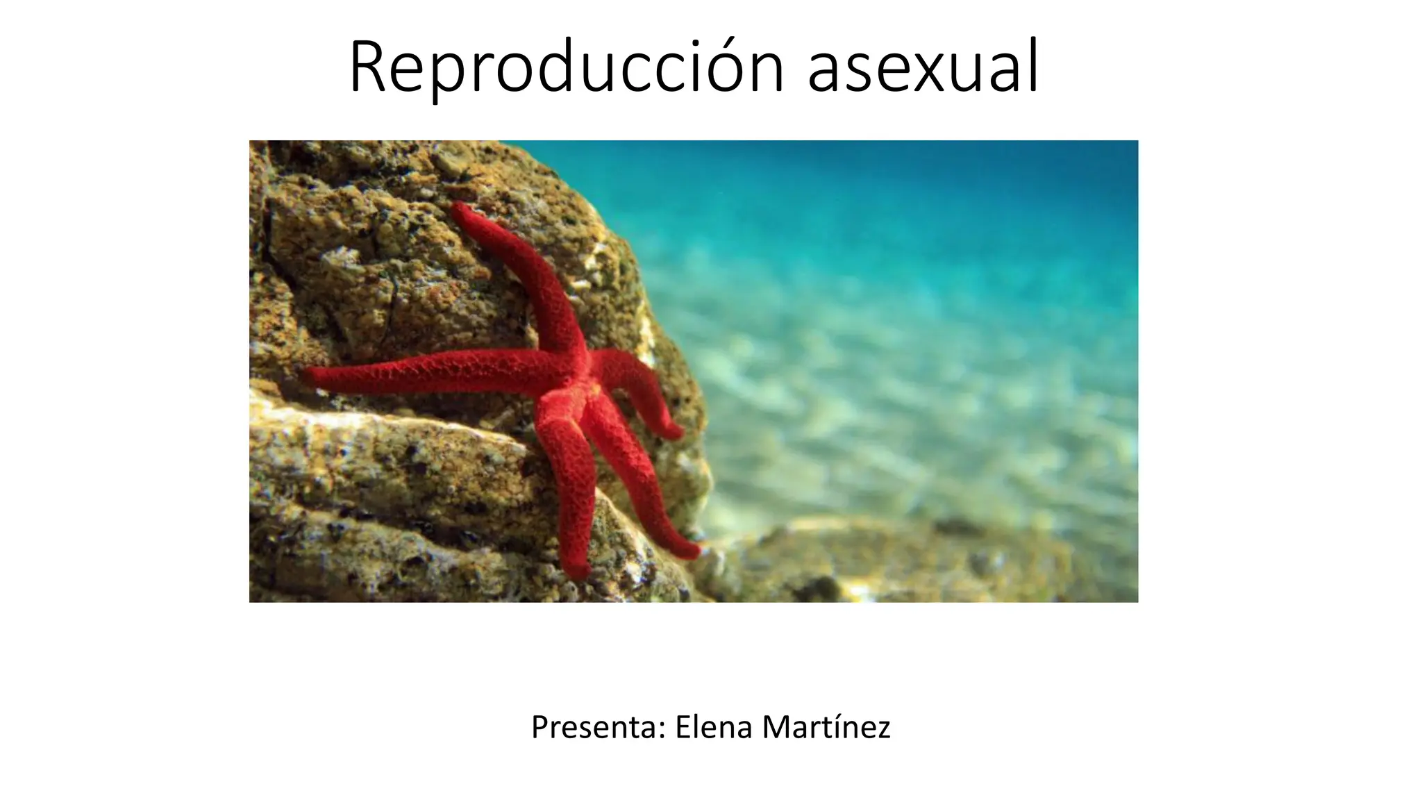 Tipos de reproducción asexual, fisión, gemación, esporulación y ...