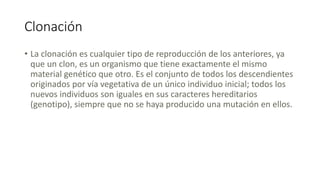 Tipos de reproducción asexual, fisión, gemación, esporulación y ...