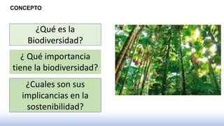 SESIÓN 6. Biodiversidad Importancia y sus implicancias en la ...