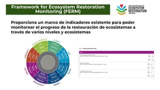 Framework for Ecosystem Restoration Monitoring (FERM ...