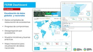 Framework for Ecosystem Restoration Monitoring (FERM ...