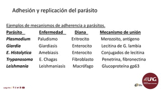 Sesión 74 Mecanismo patogénico de los parásitos-1.pdf