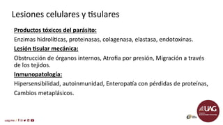 Sesión 74 Mecanismo patogénico de los parásitos-1.pdf