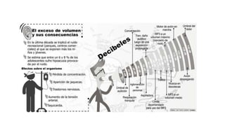 Sesión 8. distribucion del espacio fisico | PPTX