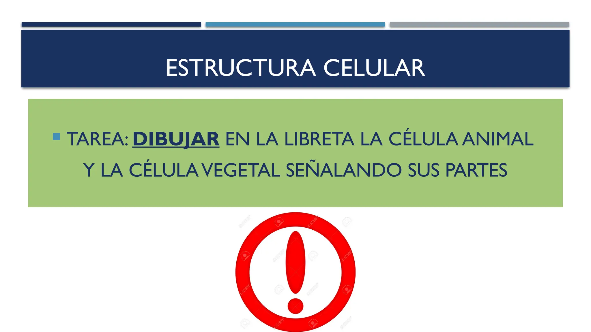 Sesión 8 Estructura celular de los seres vivos.pptx