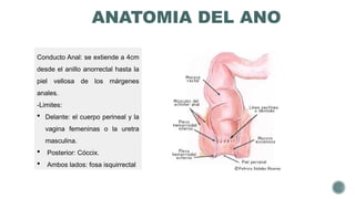 CIRUGÍA ANORECTA CIRUGÍA ANORECTA.pptx.pptx