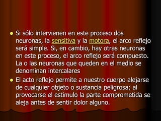 Sesión 9 arco reflejo | PPT