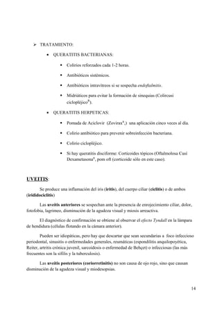 Sesión clínica 19 02-2013 patología ocular en atención primaria 2ª ...