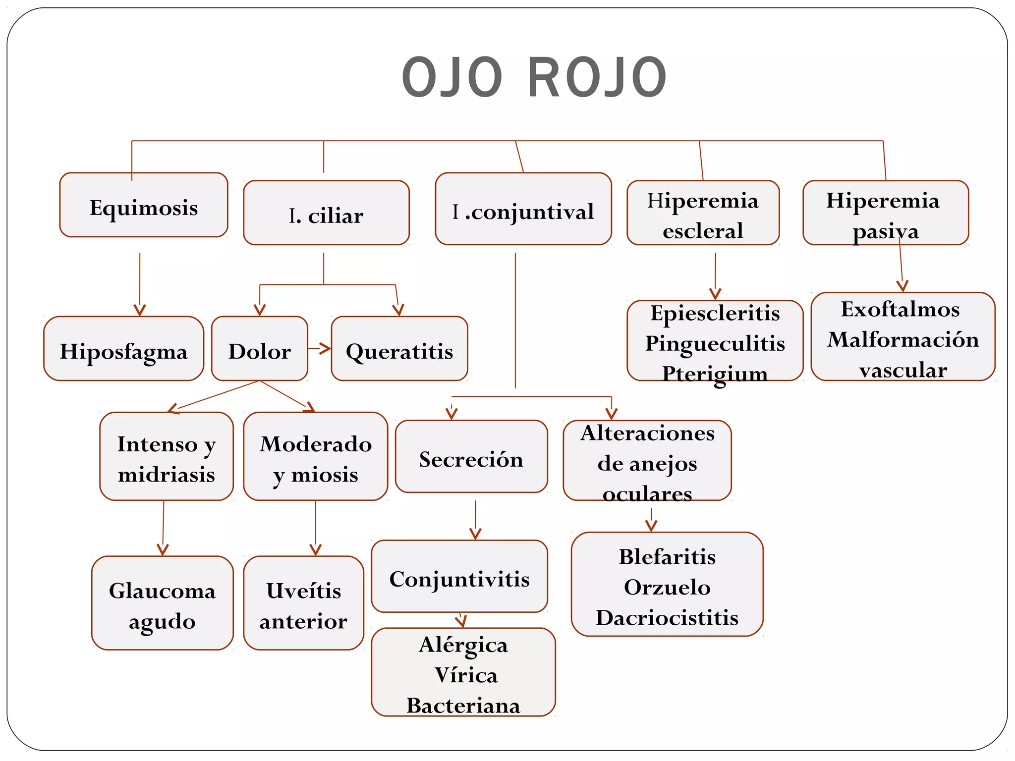 Sesión clínica 19 02-2013 patología ocular en atención primaria 2ª ...