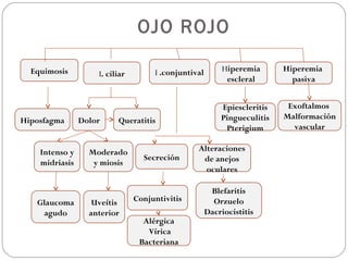 Sesión clínica 19 02-2013 patología ocular en atención primaria 2ª ...