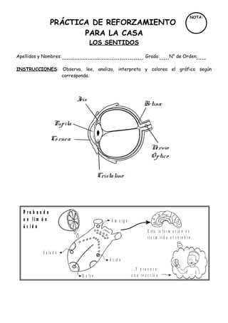 Sesión de aprendizaj1 primaria-los sentidos | DOC