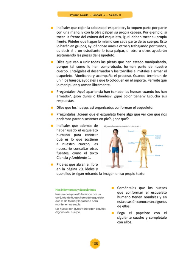 Sesión de Aprendizaje 11 de Unidad Didáctica 03 del Área de Ciencia y Ambiente – 1er. Grado de ...