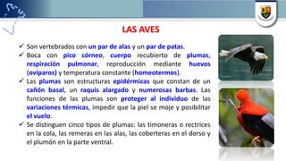 SESIÓN DE APRENDIZAJE_5_U7_DESCRIBE LAS CARACTERÍSTICAS DE LAS AVES.pdf