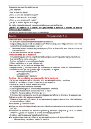 SESIÓN DE APRENDIZAJE cadena alimenticia.docx