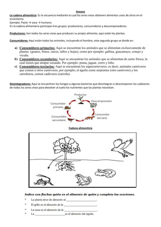 SESIÓN DE APRENDIZAJE cadena alimenticia.docx