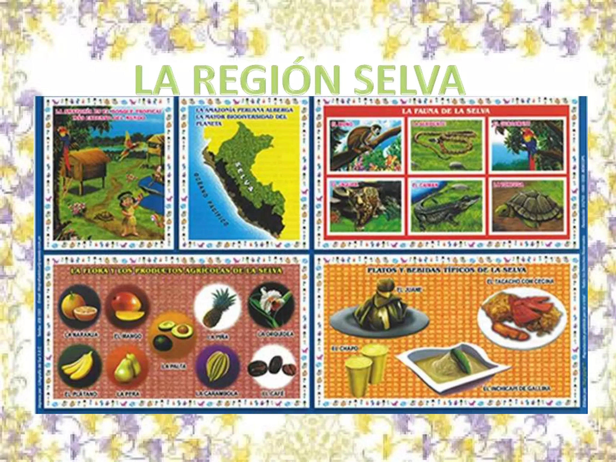 TEMA: LAS REGIONES DEL PERÚ | PPTX