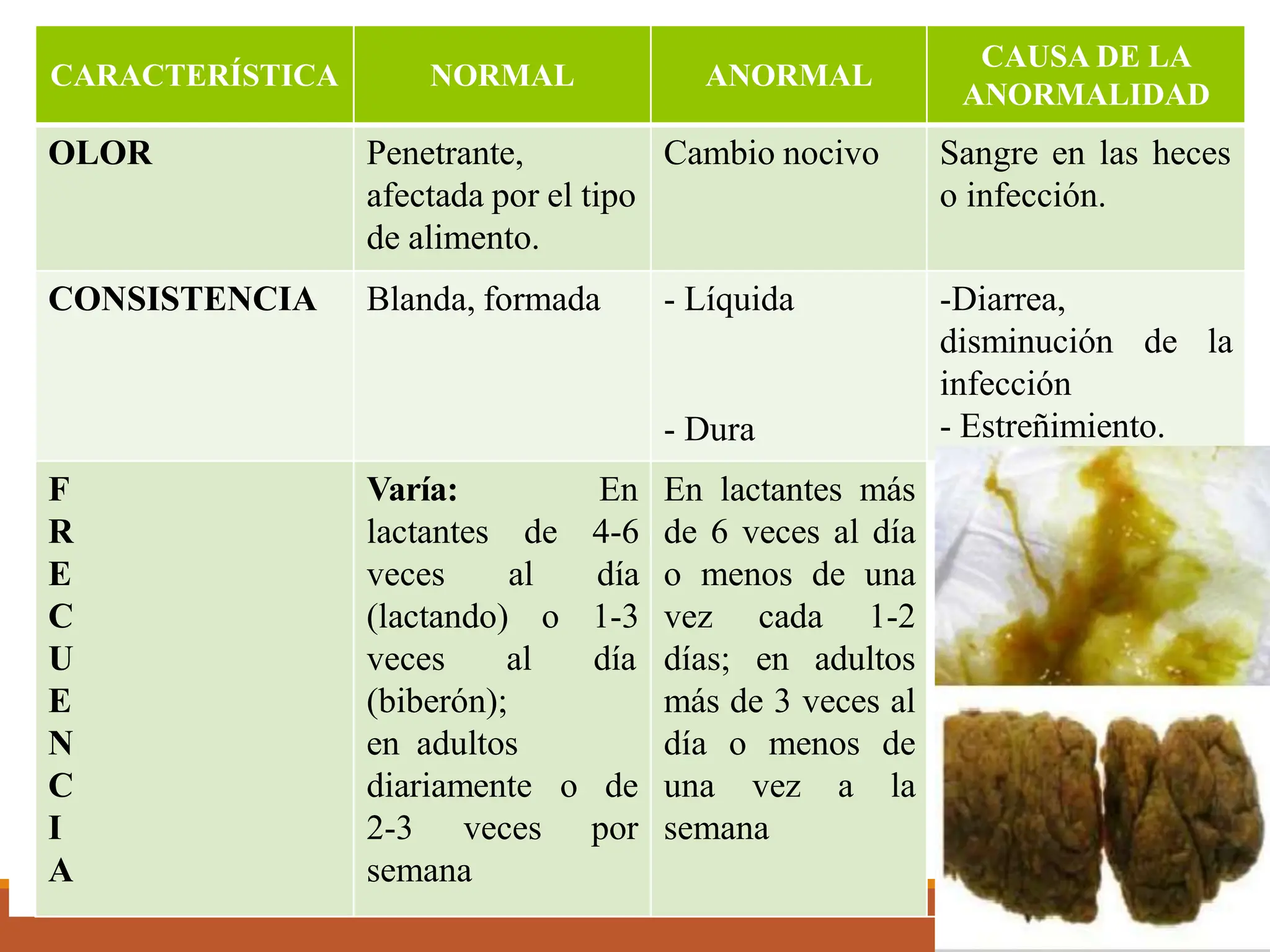 sesion-17-y-18-recoleccion-de-muestras-de-heces.pptx
