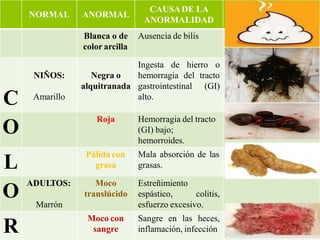 sesion-17-y-18-recoleccion-de-muestras-de-heces.pptx