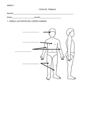 Sesion partes del cuerpo 2° | PDF
