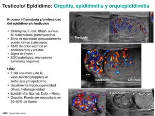 SESIÓN 09 - Aparato genital masculino.pdf