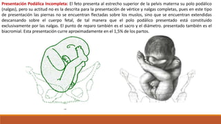 ESTÁTICA FETAL | PPTX